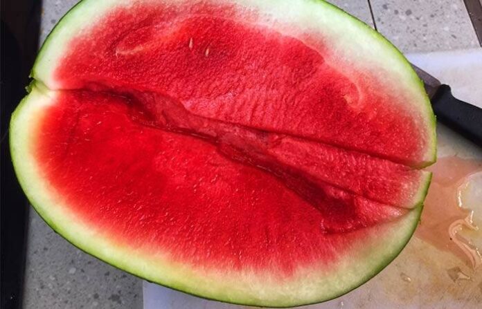 Do You Love Watermelons? If You See This Split Inside Watermelon Throw ...