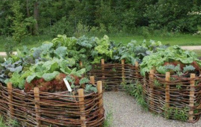 DIY Wattle Raised Garden Bed: Eco-Friendly & Rustic Backyard Project