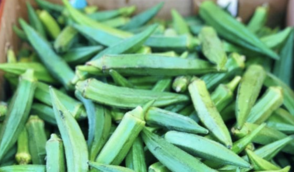 Discover the Wondrous World of Okra: 23 Facts You Should Know