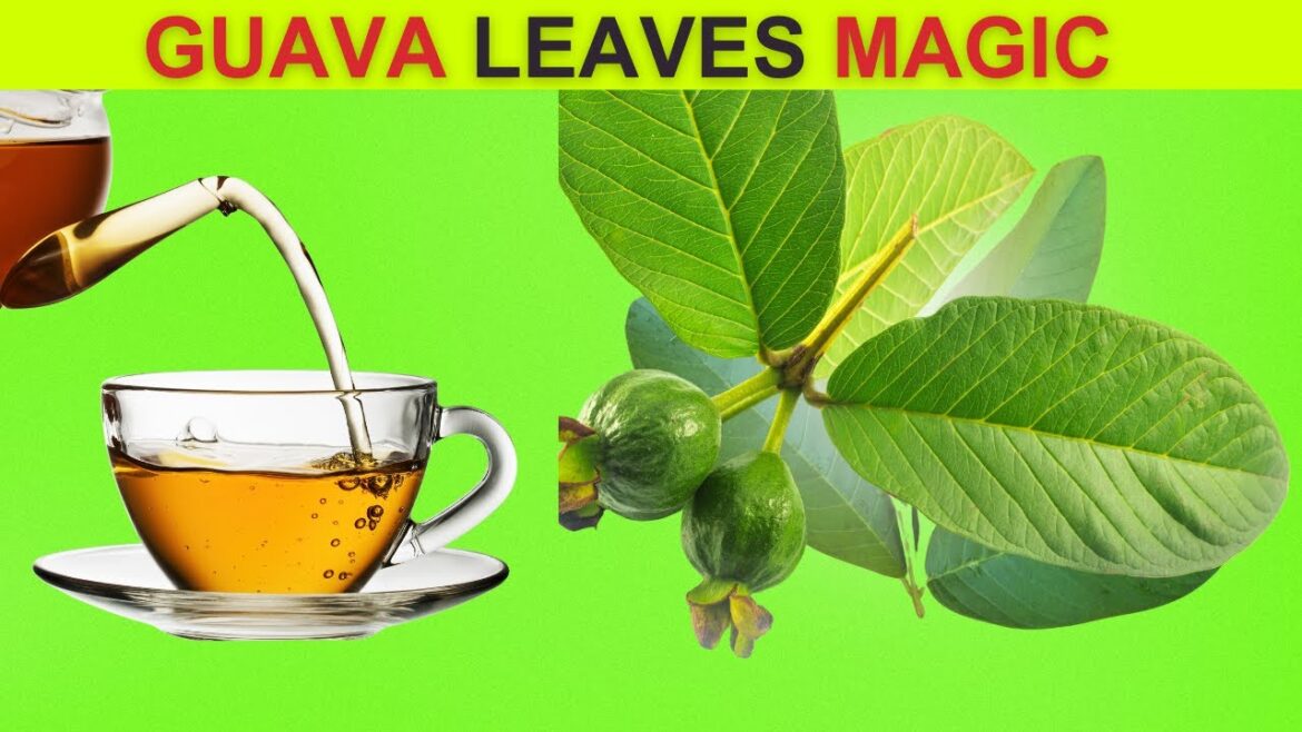 Incredible Benefits of Guava Leaves: 11 Reasons To Drink Guava Leaf Tea