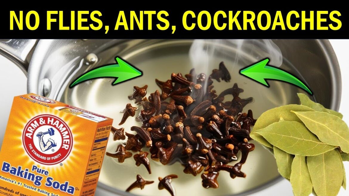 Diy Clove Baking Soda And Bay Leaf Pest Control Spray Banish Insects