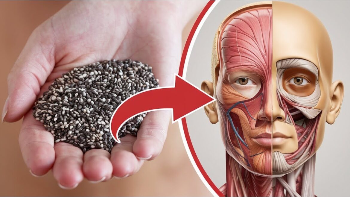 When You Start Eating Chia Seeds Every Day, Here’s What Happens to Your ...