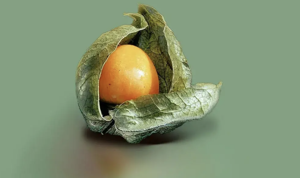 10 Incredible Health Benefits of Goldenberry (Uchuva): Unleash the ...