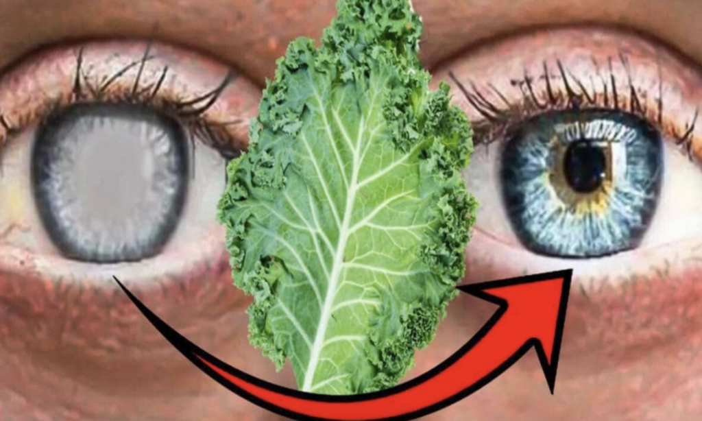 5 Powerful Leaves That Boost Eye Health Naturally
