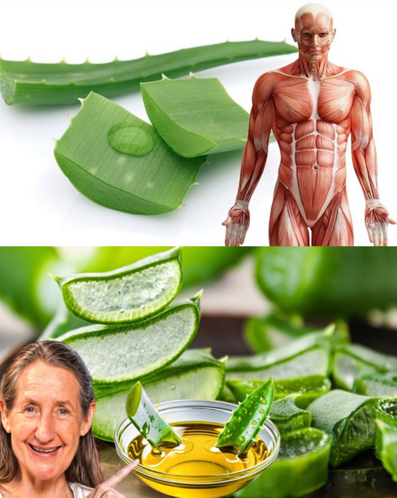 11 Aloe Vera Water Benefits (What Happens When You Drink It Daily)